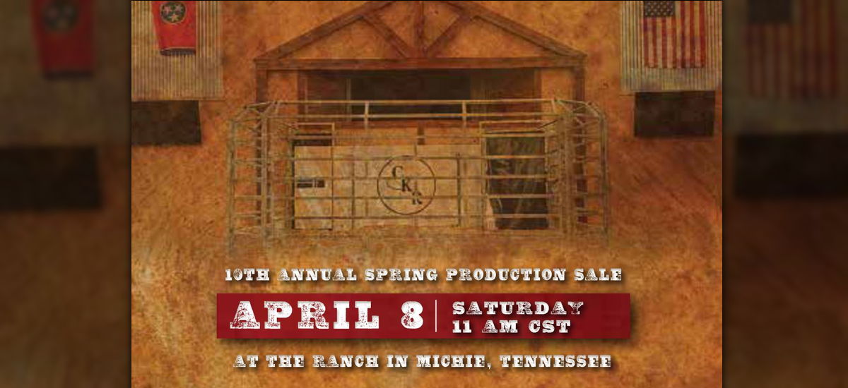 Crazy K Ranch – Black Angus Ranch in Michie, TN